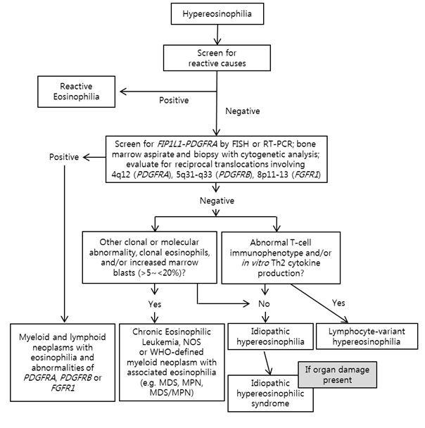 Figure 1. Diagnostic algorithm based on 2008 WHO classification of ...